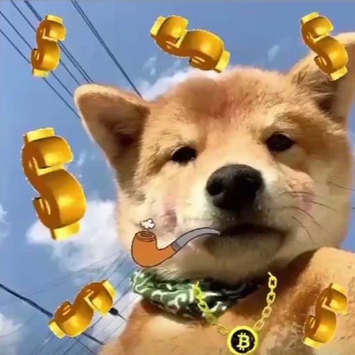 bank – профиль пользователя — PayGame.ru