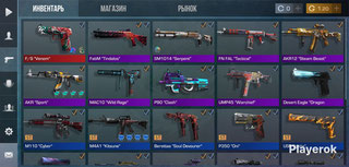 Топ аккаунт для новичка Standoff 2, купить у продавца skyfly — PayGame.ru